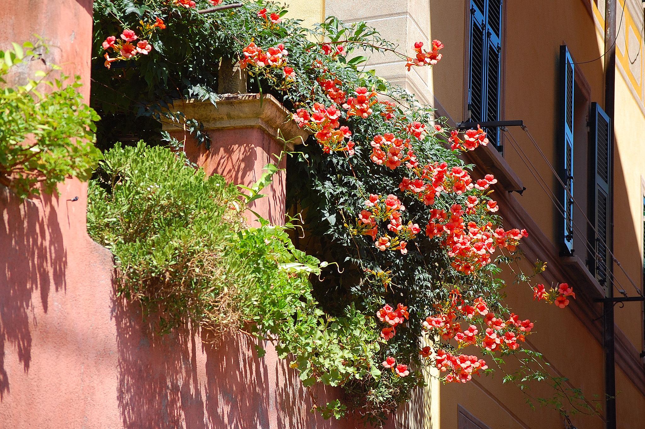 Giardini, balconi e orti in fiore: tour alla scoperta del verde nelle ... Giardini, balconi e orti in fiore: tour alla scoperta del verde nelle ...